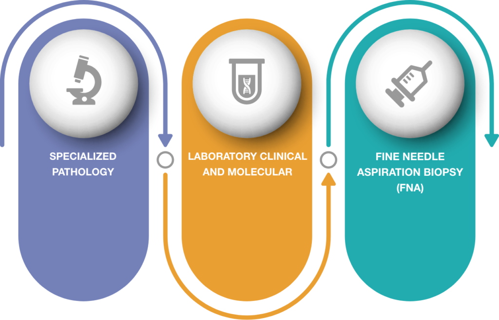 Home – HRP Labs